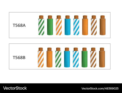 Utp Cabling Standards Royalty Free Vector Image