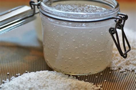 Cómo hacer tapioca natural receta paso a paso