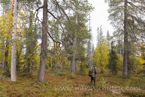 Erä Wilderness 20220910047 hannuhuttu