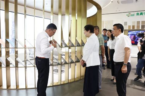 省委统战部副部长、省工商联党组书记陈丽文一行参观调研邦宁新材——清森美室内健康环境体验馆企业新闻企业动态广东邦宁新材料科技有限公司