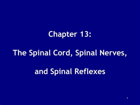 Ppt Chapter The Spinal Cord Spinal Nerves And Spinal Reflexes