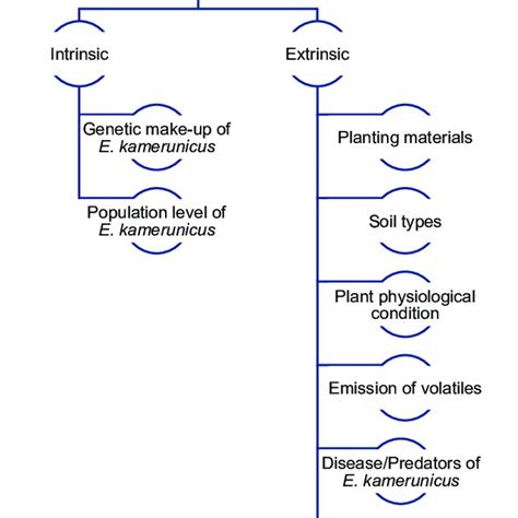 Factors Affecting The Pollination Efficiency Of Elaeidobius Kamerunicus Download Scientific