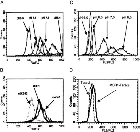 Intracellular Ph Measurement Of Wt And Mdr1 K562 And Tera 2 Cells A Ph