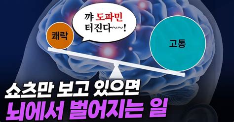 도파민 폭발 숏폼 중독 우리 뇌와 민주주의가 위험하다
