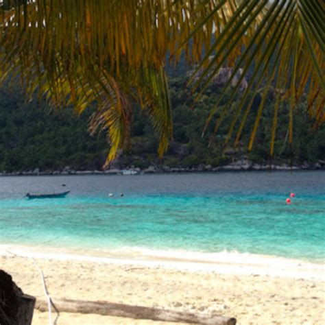 Ziling Zhou National University Of Singapore Singapore Nus