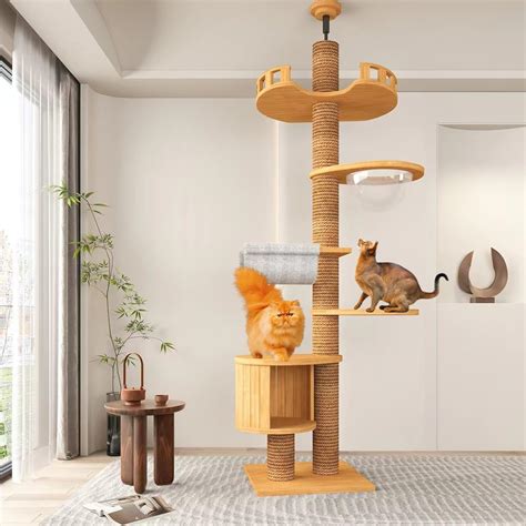 Wooden Cat Tree Floor To Ceiling Floor Ceiling Cat Tower