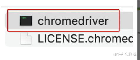 Google无头浏览器 chromedriver 下载与安装 知乎