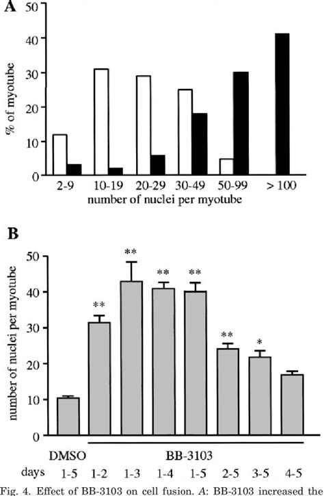 Figure 4 From Skeletal Muscle Cell Hypertrophy Induced By Inhibitors Of