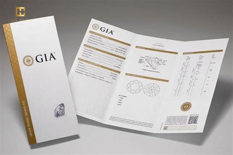 Kiểm định Kim Cương Gia Và Giv Tất Cả Thông Tin Mới Nhất Cao Hùng