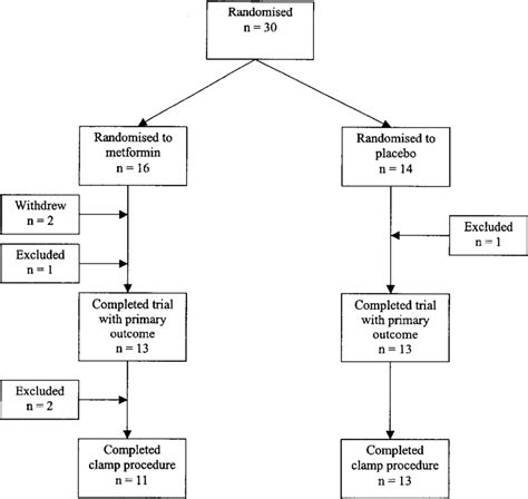 Flow Diagram Of Participants Throughout The Study Download