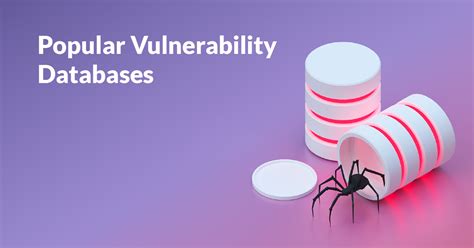 Datasunrise What Is A Vulnerability Database And How Do