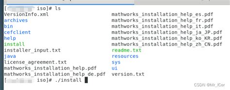 Matlab 2024a版本在linux系统上的安装配置matlabmricer Linux