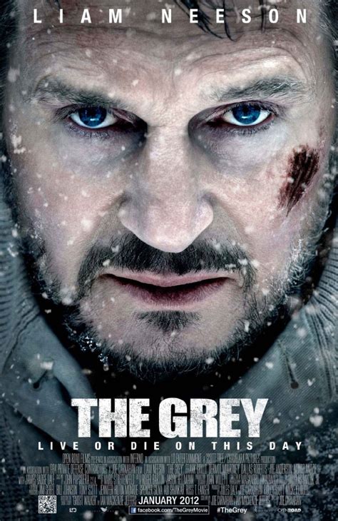 Gri Kurt The Grey P T Rk E Dublaj Zle Alperen Nver Ki Isel Blog