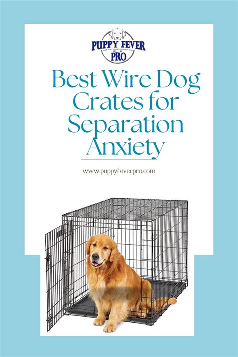 The Top 6 High Anxiety Dog Crate To Help Calm Your Canine Artofit