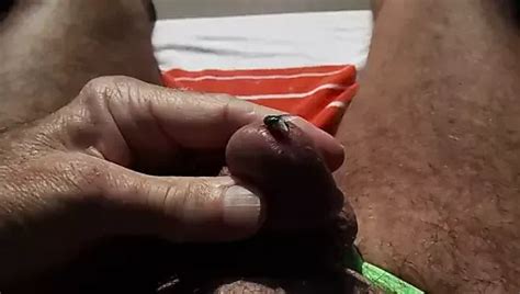 A Fly Eat My Precum And My Cum Gay Amateur Amateur Porn Xhamster
