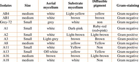 Morphological Characteristics Of Selected Actinomycetes Colony