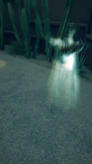 Ghost Search Snapchat Creators Filters And Lenses