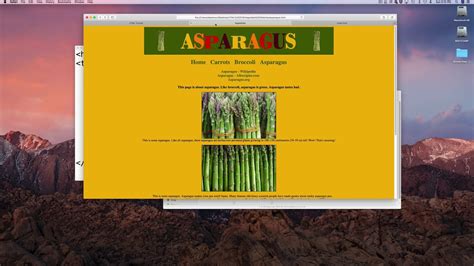 1 Html Basics Day 1 Youtube