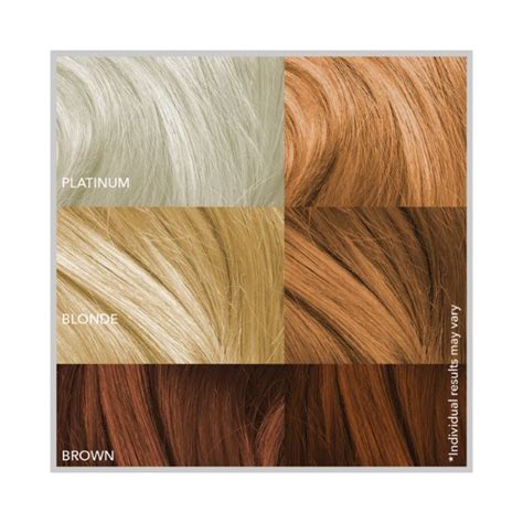 Buy Paradyes Honey Blonde Highlighting Kit 95gm Online At Discounted