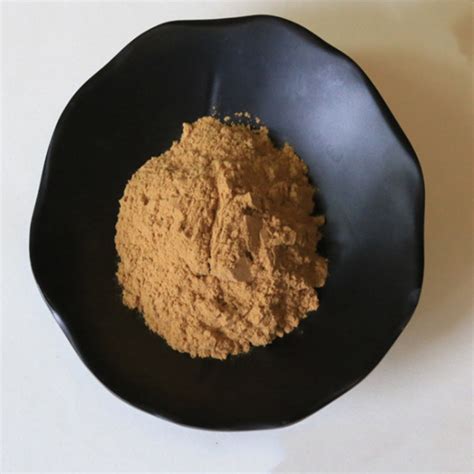 Ginkgo Biloba Extract Water Soluble China Ginkgo Biloba Extract Water