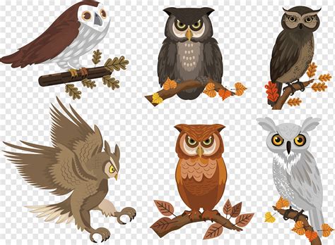 Owl Png Pngwing