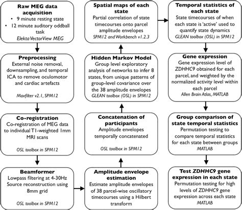 The Processing And Analysis Pipeline Used On The Resting State And Download Scientific Diagram