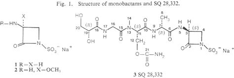 Figure 1 From Sq 28 332 A New Monobactam Produced By A Flexibacter Sp Taxonomy Fermentation