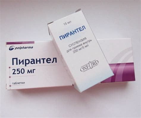 Гельминты у человека - симптомы лечение у взрослых