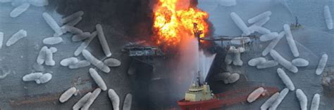 6 Ways Bacteria Will Prevent The Apocalypse