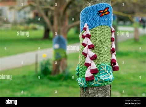 Unusual Tree Cover In Park Stock Photo Alamy