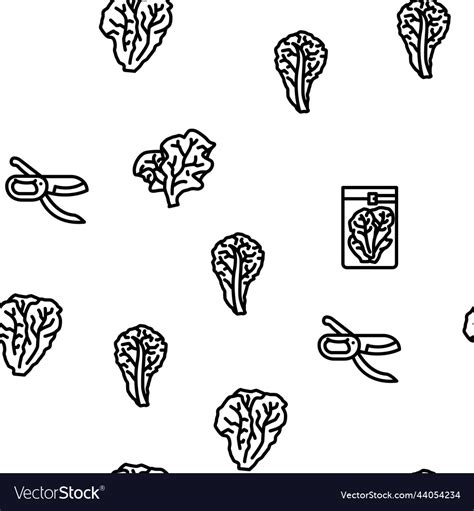 Lettuce Salad Leaf Vegetable Seamless Royalty Free Vector