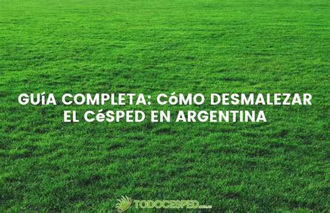 Césped En Argentina Para Un Jardín Perfecto Descarrega Cesped