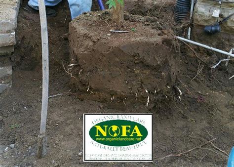 Education Center Organic Soil Solutions