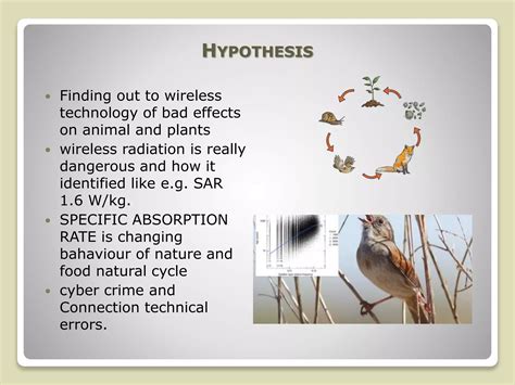 Dis Advantages Of Computer Network Ppt