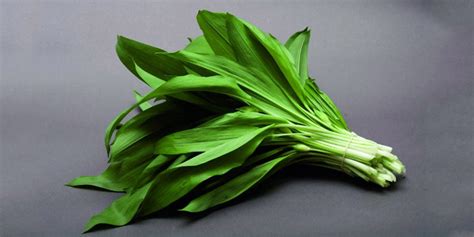 लहसुन की पत्तियों भी आती हैं बड़े काम जानें फायदे