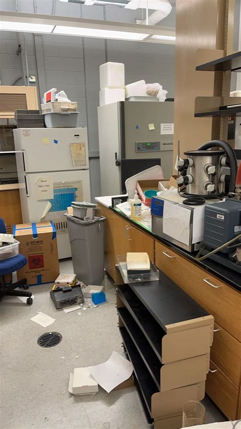 News Jin Lab Georgia State Develop Materials To Improve Human Health