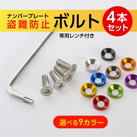 ナンバープレート ボルト 盗難防止 ネジ ナンバーボルト ステンレス ワッシャー 盗難防止用ボルト 559 Nakaziショップ