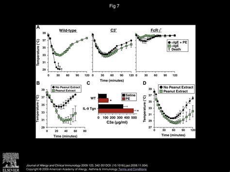 Peanuts Can Contribute To Anaphylactic Shock By Activating Complement