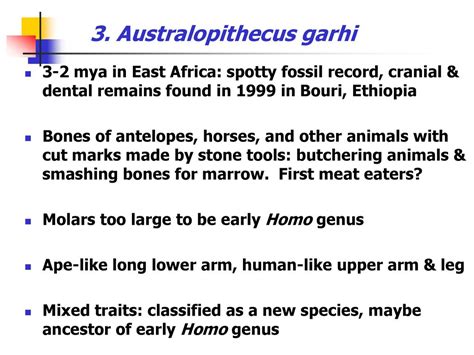 Evolution On The Origin Of Humans Ppt Download