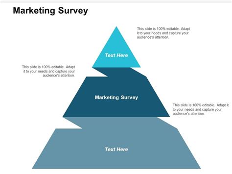 Marketing Survey Ppt Powerpoint Presentation Model Graphics Design Cpb