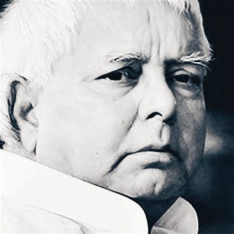 Jai Ho Bulbul Babu