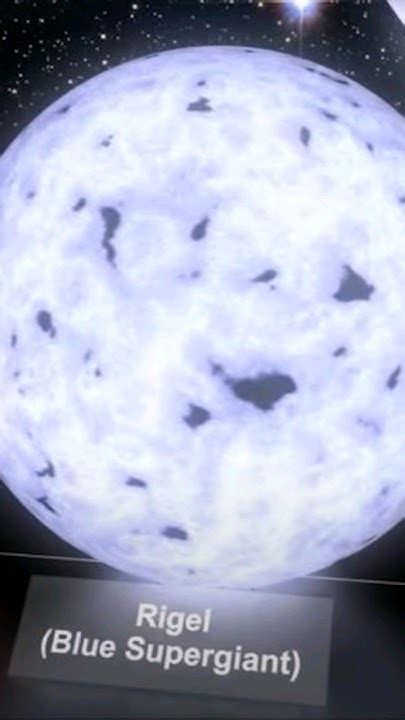 Las 11 Estrellas Más Grandes Del Universo Rigel Universe Shorts