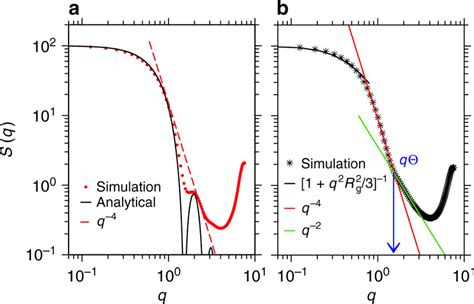 Single Chain Structure Factor Static Structure Factor Sq For A Chain Download Scientific
