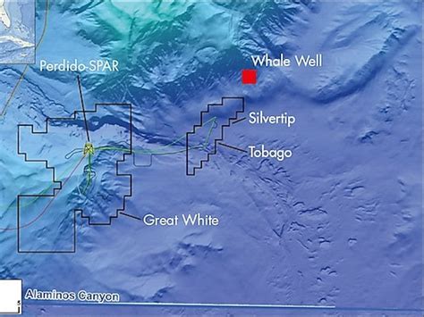 Whale Field Development Gulf Of Mexico Usa