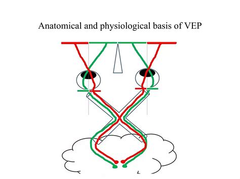 Evoked Potential Pptpptx