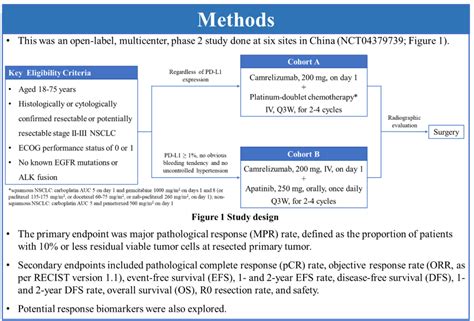 恒瑞创新药卡瑞利珠单抗联合化疗或阿帕替尼非小细胞肺癌研究亮相！ 博普智库