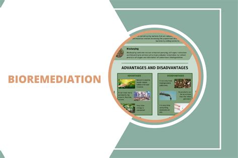 Bioremediation Infographics Scicomm Central