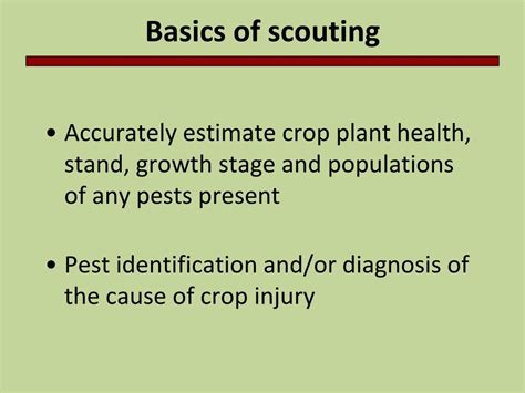 Ppt Effective Plant Scouting Guide For Crop Health Monitoring Powerpoint Presentation Id991475