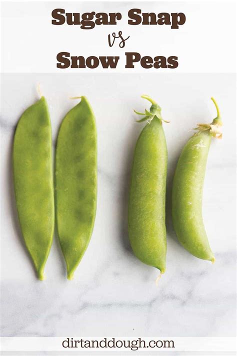 Snow Peas Vs Sugar Snap Peas What S The Difference Dirt And Dough