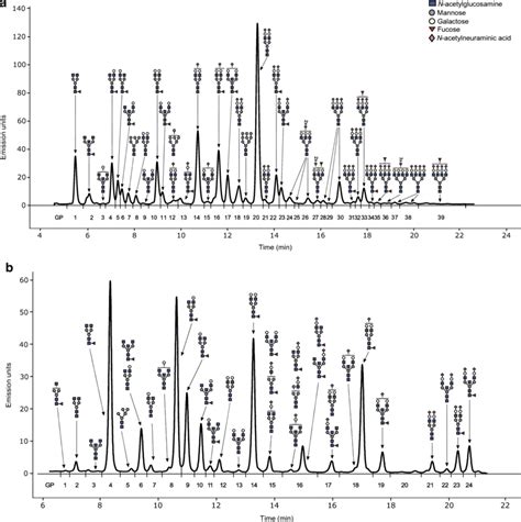 Example Of A Chromatogram Of N Glycans Released From Total Plasma